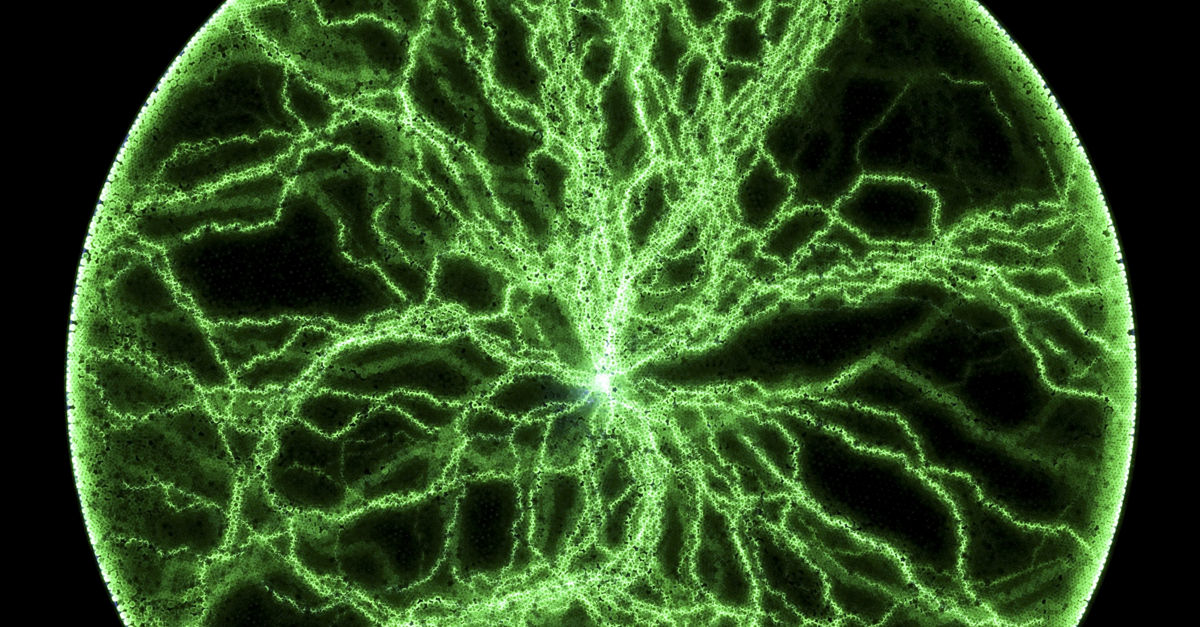 Vendor Licensing Expert - Microsoft | Deloitte Deutschland