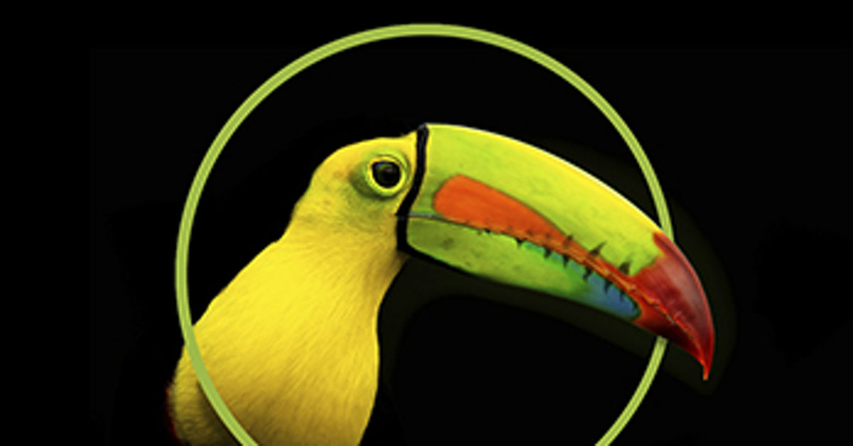 Marketing & Communication Transformation | Deloitte Deutschland