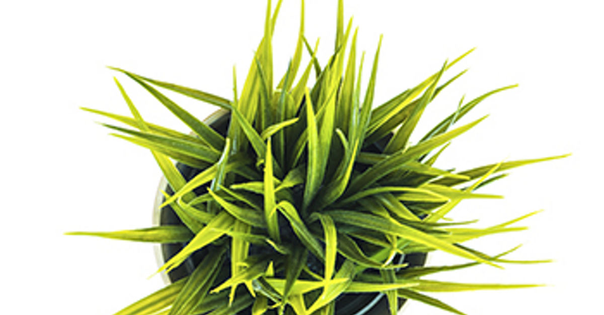 License Software Asset Manager - SAM Audit | Deloitte Deutschland