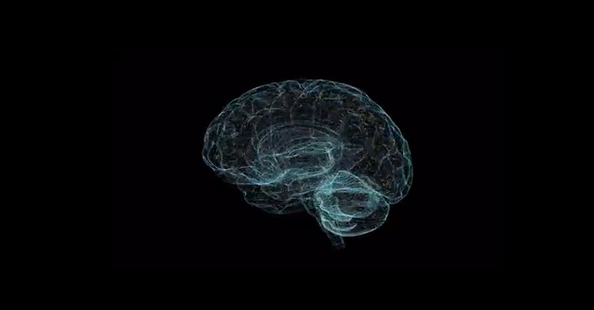 Neuroscience Institute Overview | Deloitte Deutschland