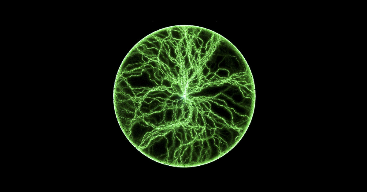 SAM Basic | Deloitte Deutschland