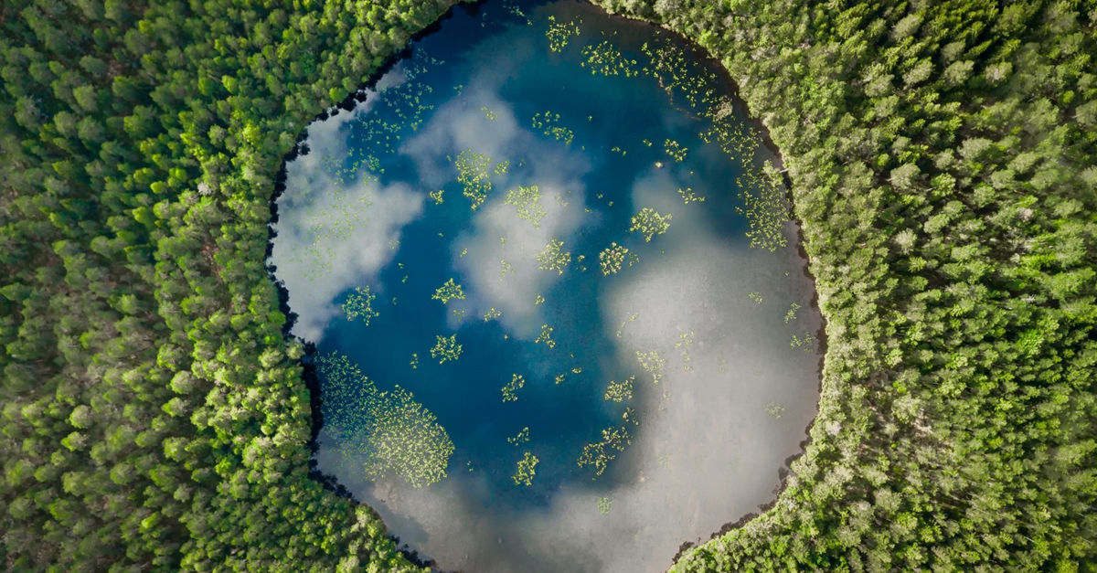 Studie: Praxis der Nachhaltigkeitsberichterstattung nach CSRD/ESRS ...