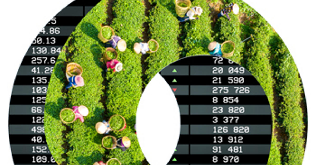 Guide: Dette må du vite om CSRD | Deloitte Norge