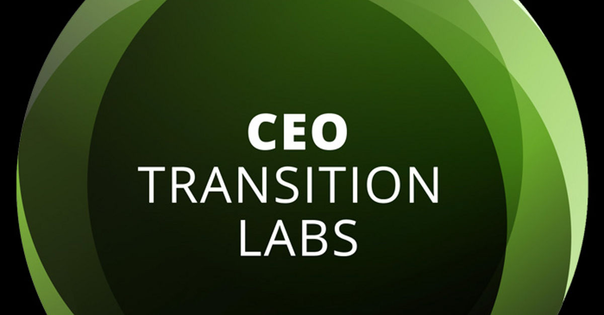 CEO Transition Lab | Deloitte Denmark