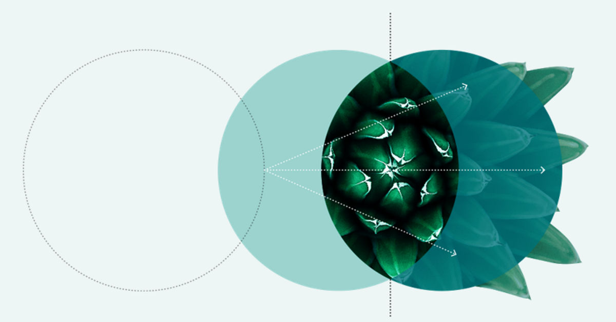 Elevando o atendimento ao cliente | Deloitte Brasil