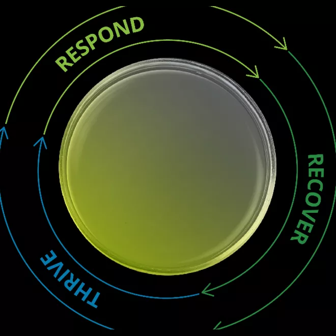 O que é Auditoria? | Deloitte Portugal | Audit Services | Solutions