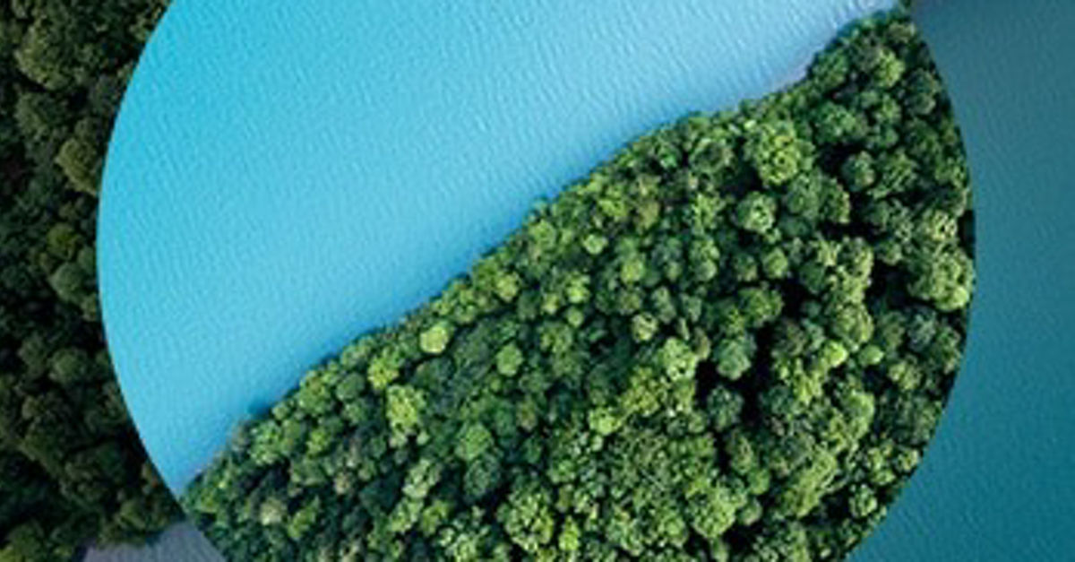 Climate-led transformation | Deloitte Canada