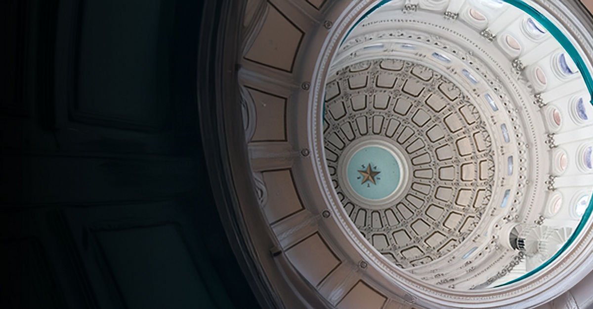 State of Texas: Department of Information Resources Contract DIR-CPO ...