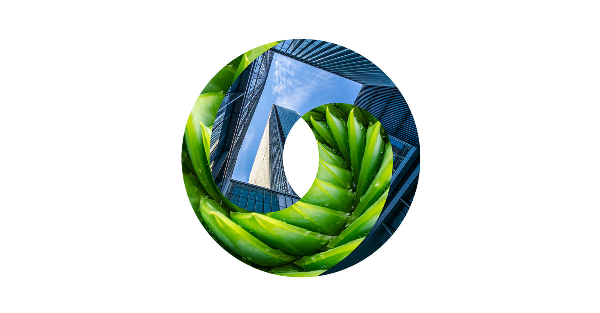 Transition Plan | Deloitte Polska
