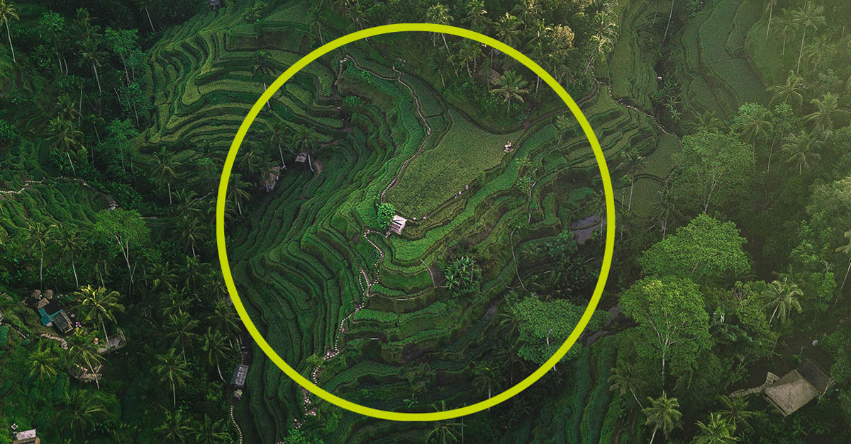 Zerograding – Your Net-Zero Growth Engine