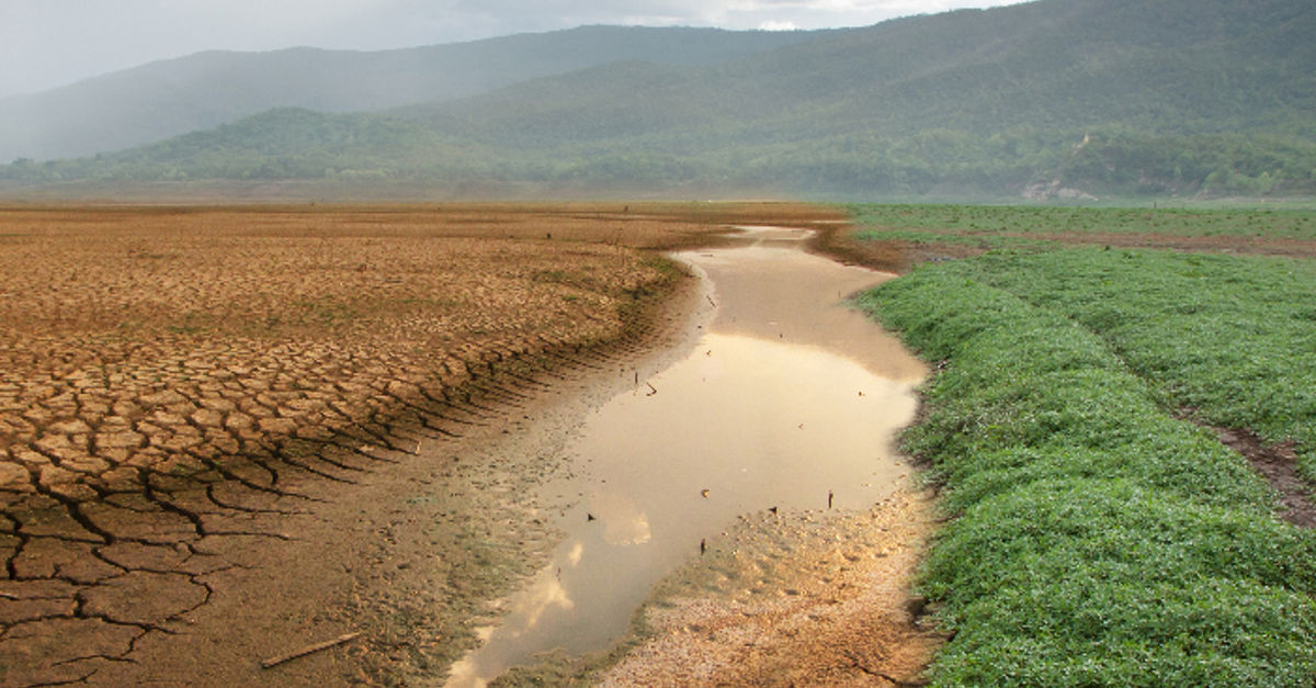 Ventures for Impact | Deloitte Sweden