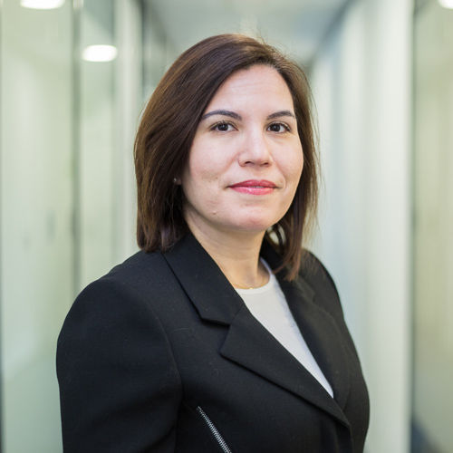 Ana Sánchez Palacios | Socia responsable del Sector de Tecnología ...
