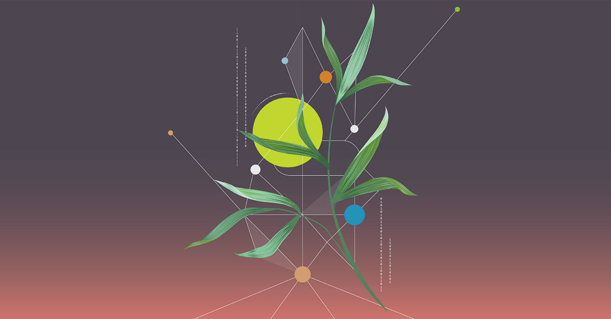 Asia Pacific CFO survey 2025 | Deloitte New Zealand