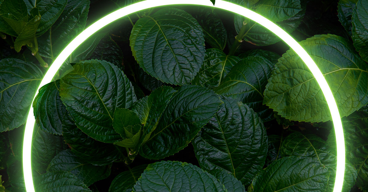 Vorbereitet für die Erstanwendung der CSRD | Deloitte Österreich