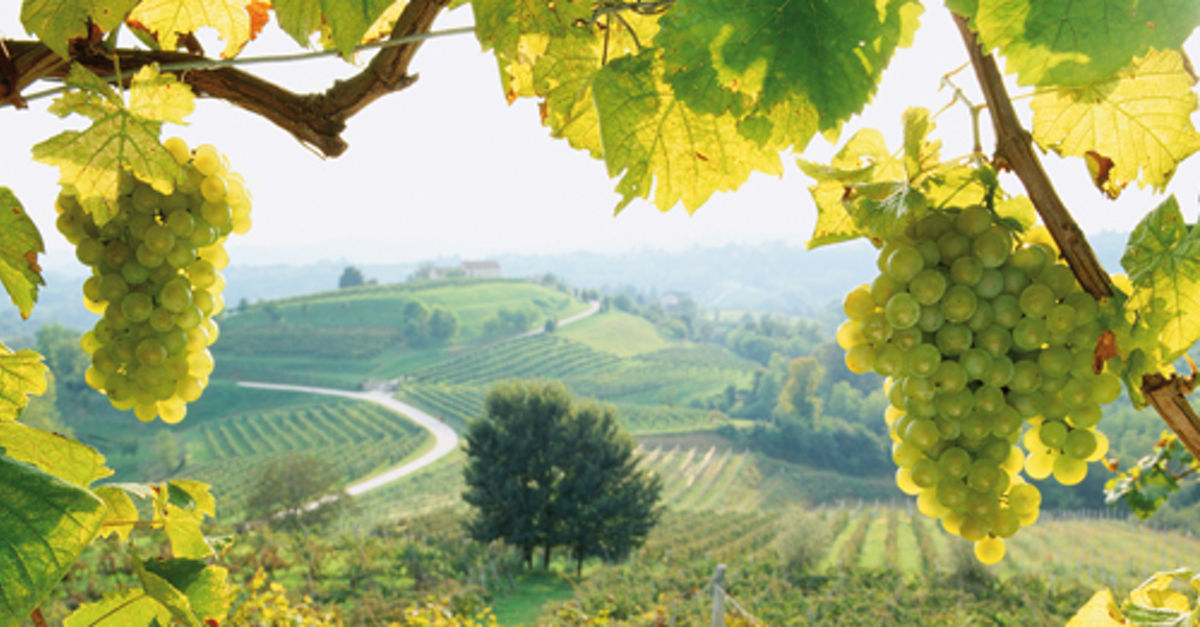 Invest in Austria | Deloitte Österreich