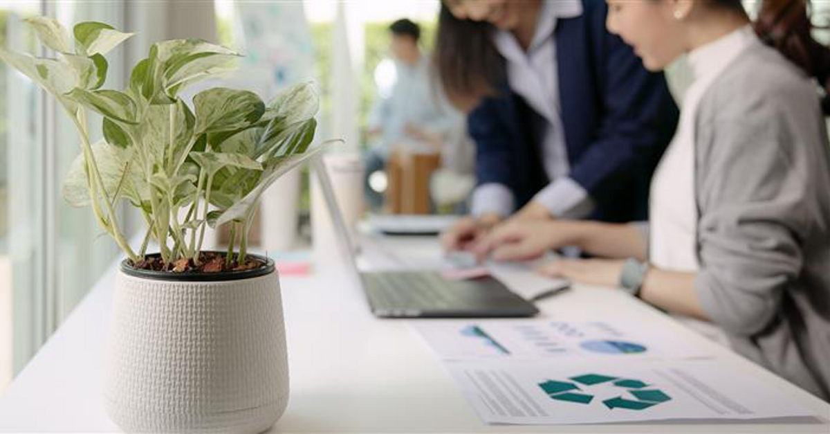 Client Story: Scatec | Deloitte Norge