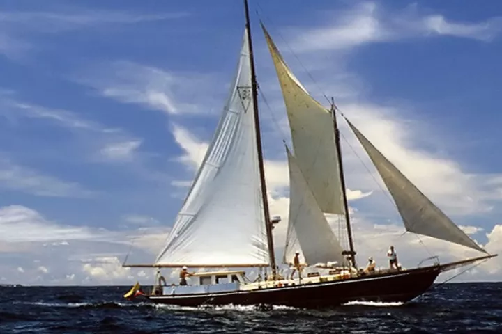 Meet the partners at Deloitte Cayman Islands