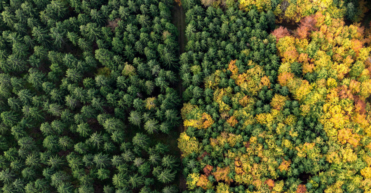 Insights on Responsible Business | Deloitte Netherlands