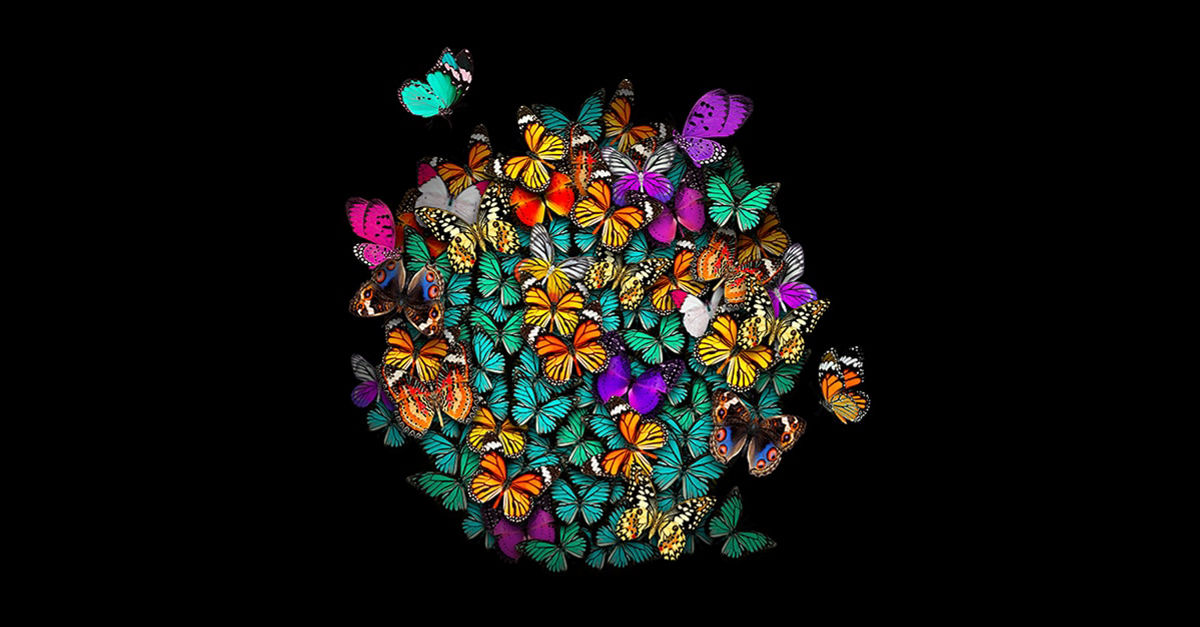 The power of the Butterfly Effect | Deloitte