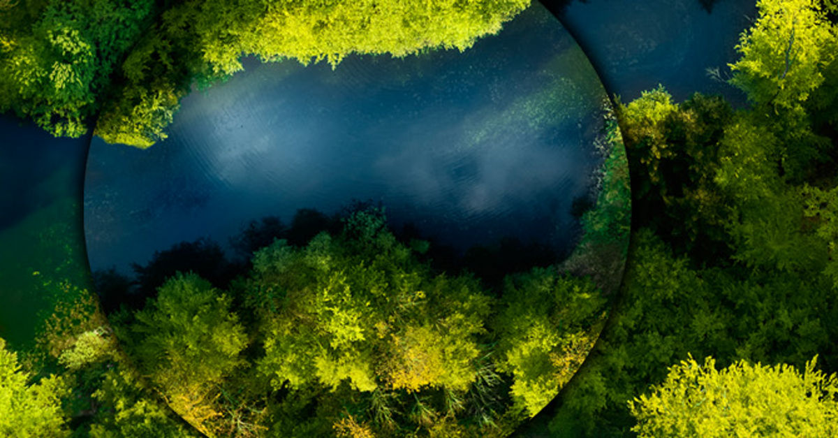 Climate risk management, adaptation and resilience | Deloitte Canada