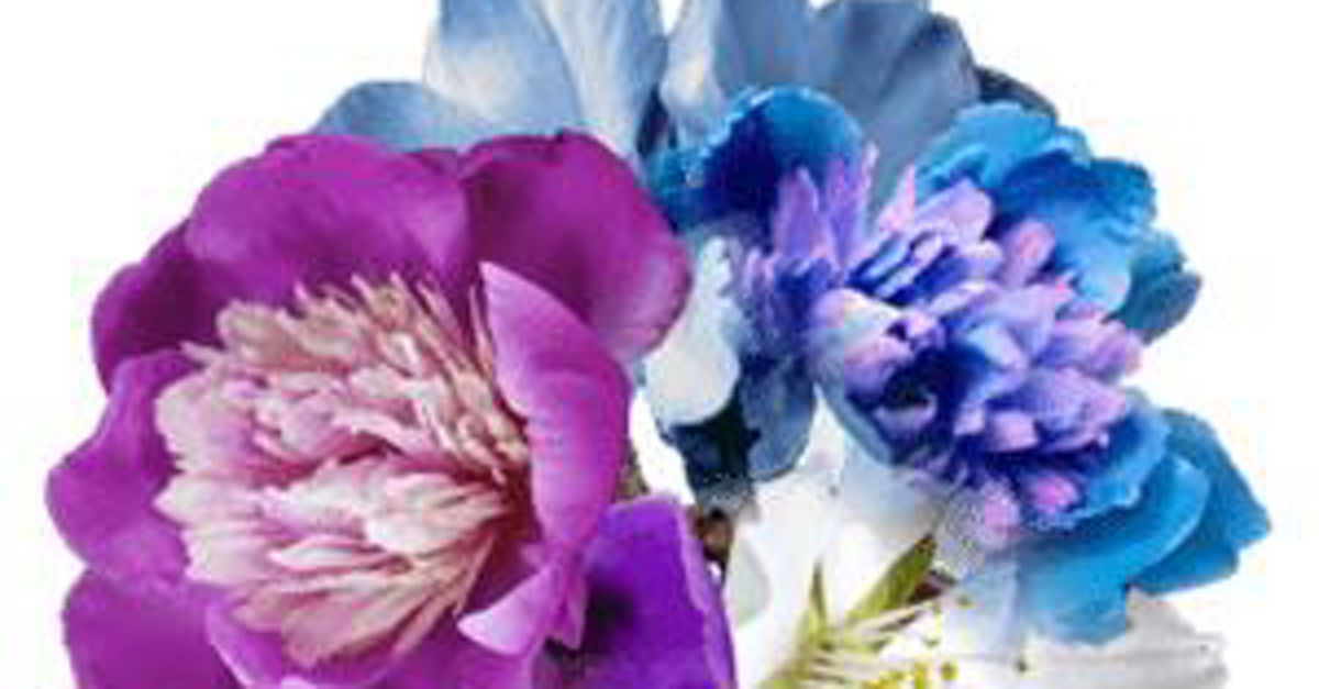 Deloitte Canada reinforces its DEI commitment statement and policies ...