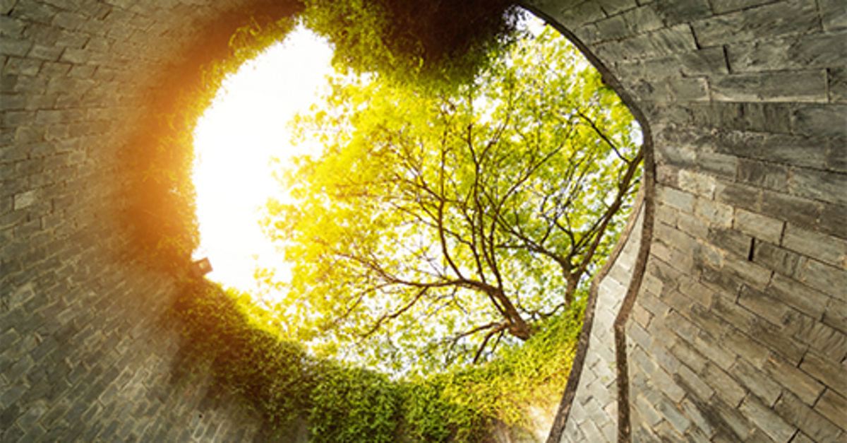 TNFD and nature-related financial disclosures | Deloitte Central Europe