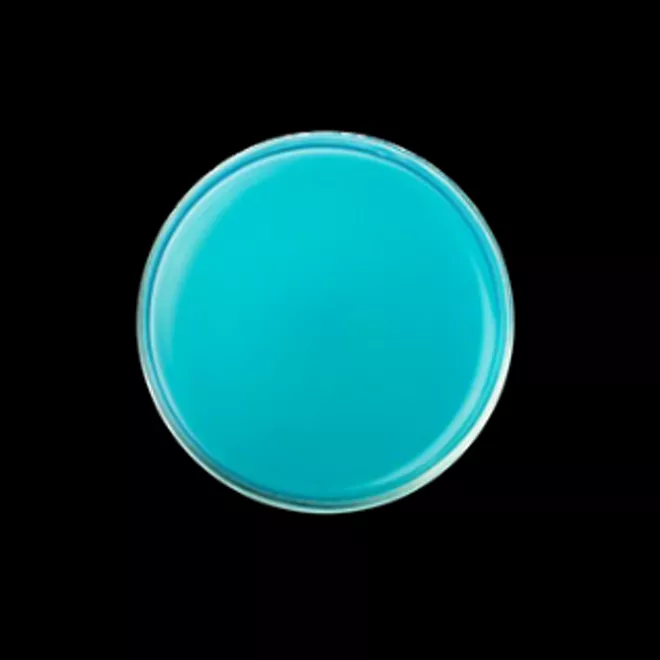 Central European countries in the top ten best Shared Service Center ...