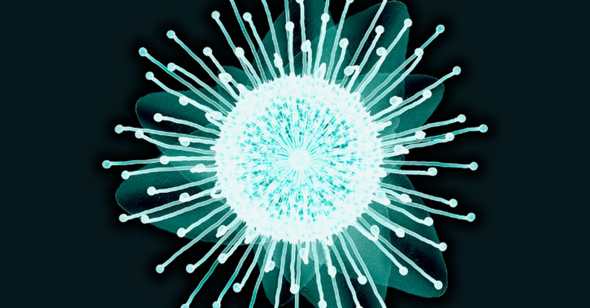 Navigating the EU Critical Entities Resilience Directive