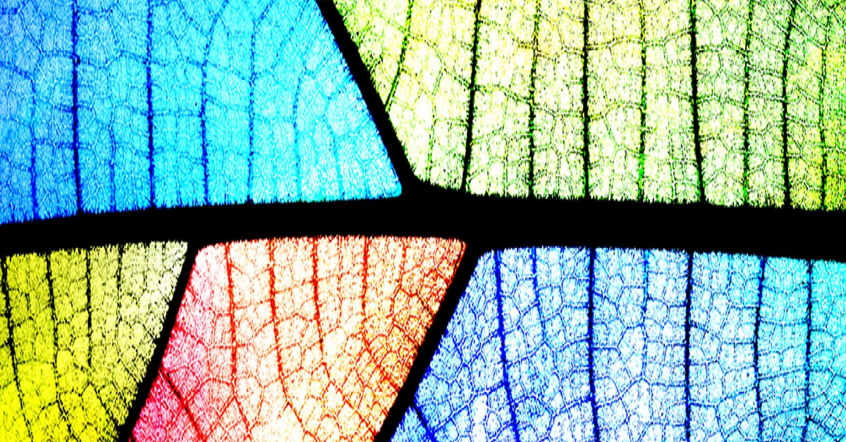 IT, Amplified: AI Elevates the Reach and Remit of the Tech Function