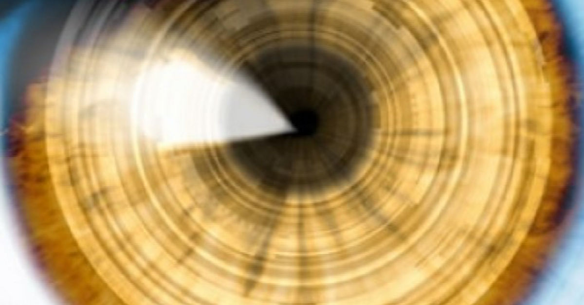 The incalculable potential and potential pitfalls of the quantified ...