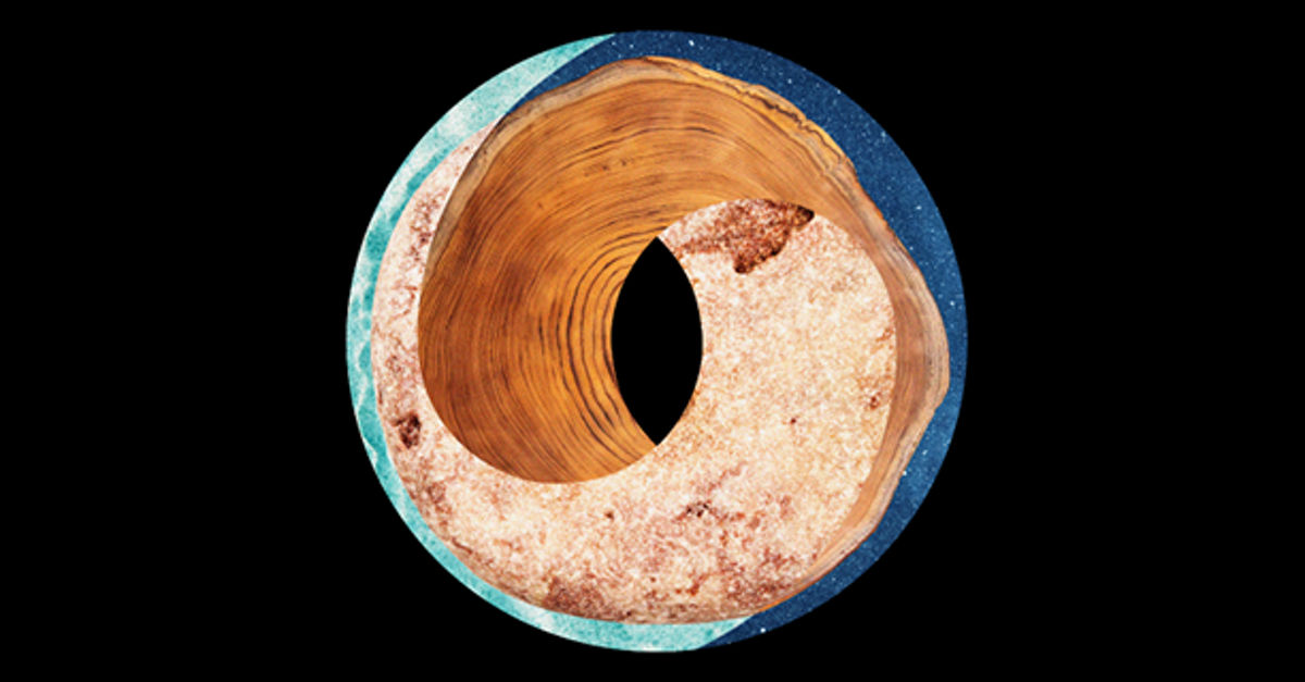 2024 Deloitte CxO Sustainability Report | Deloitte Switzerland