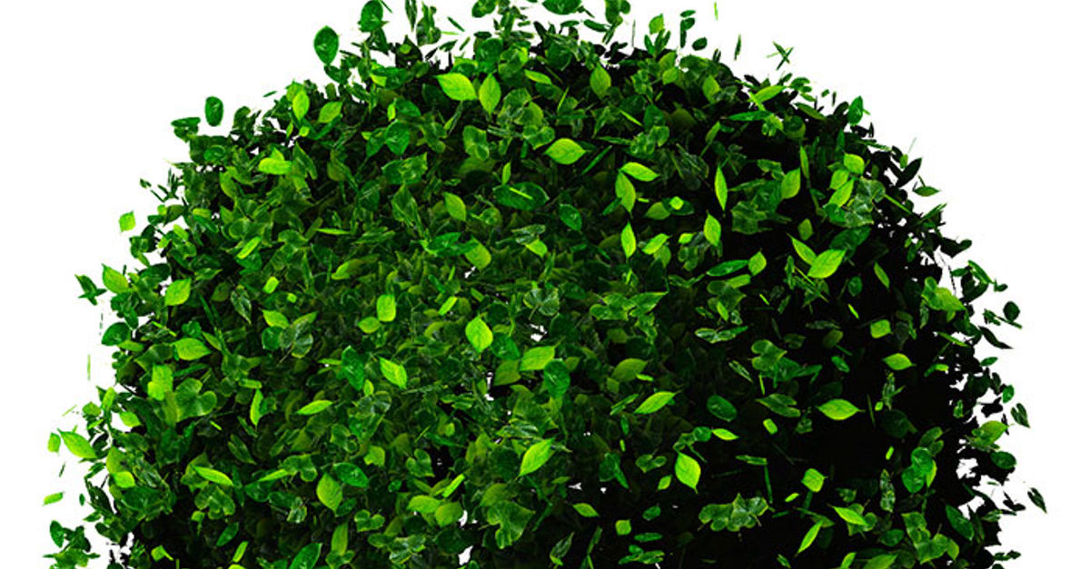 Green Dreams and Red Flags | Deloitte Switzerland