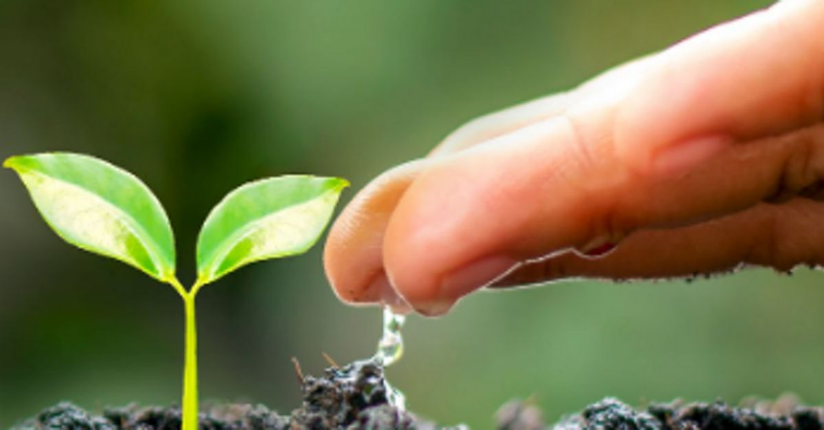 Alessandro Colombo | Deloitte Climate Champion | Deloitte Italy