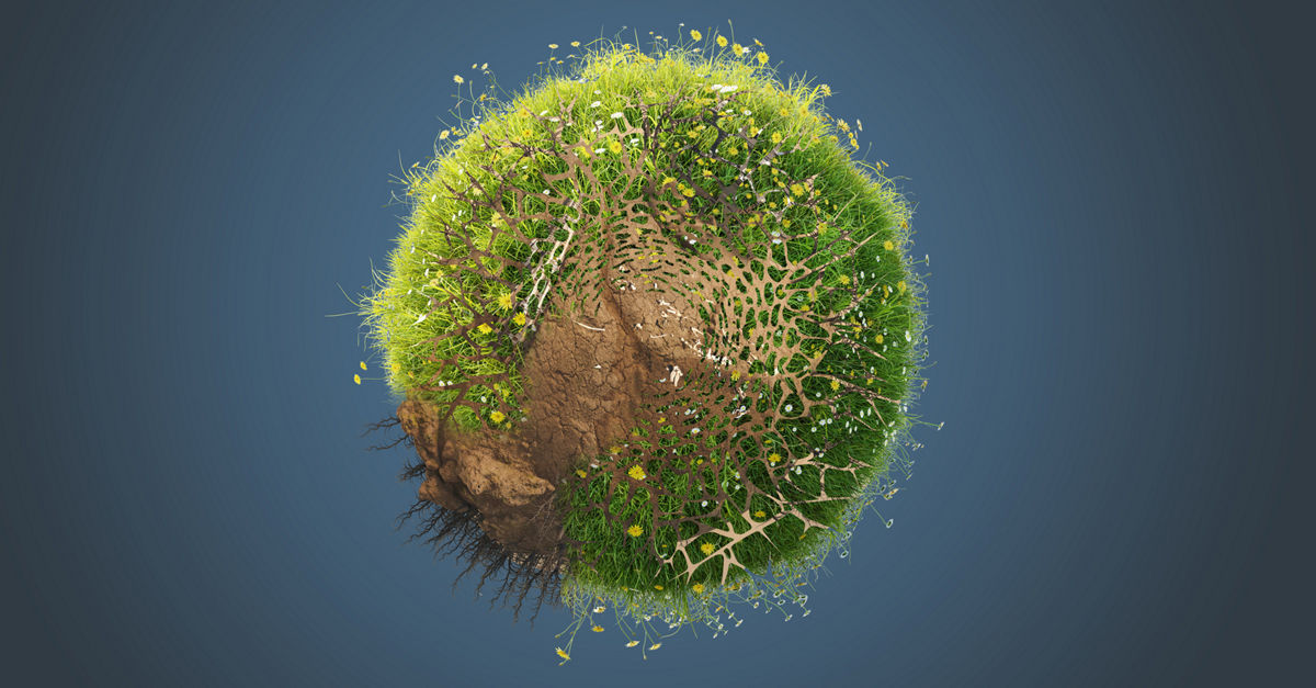 Guidance Notes: Climate-Related Governance and Risk Practices and ...