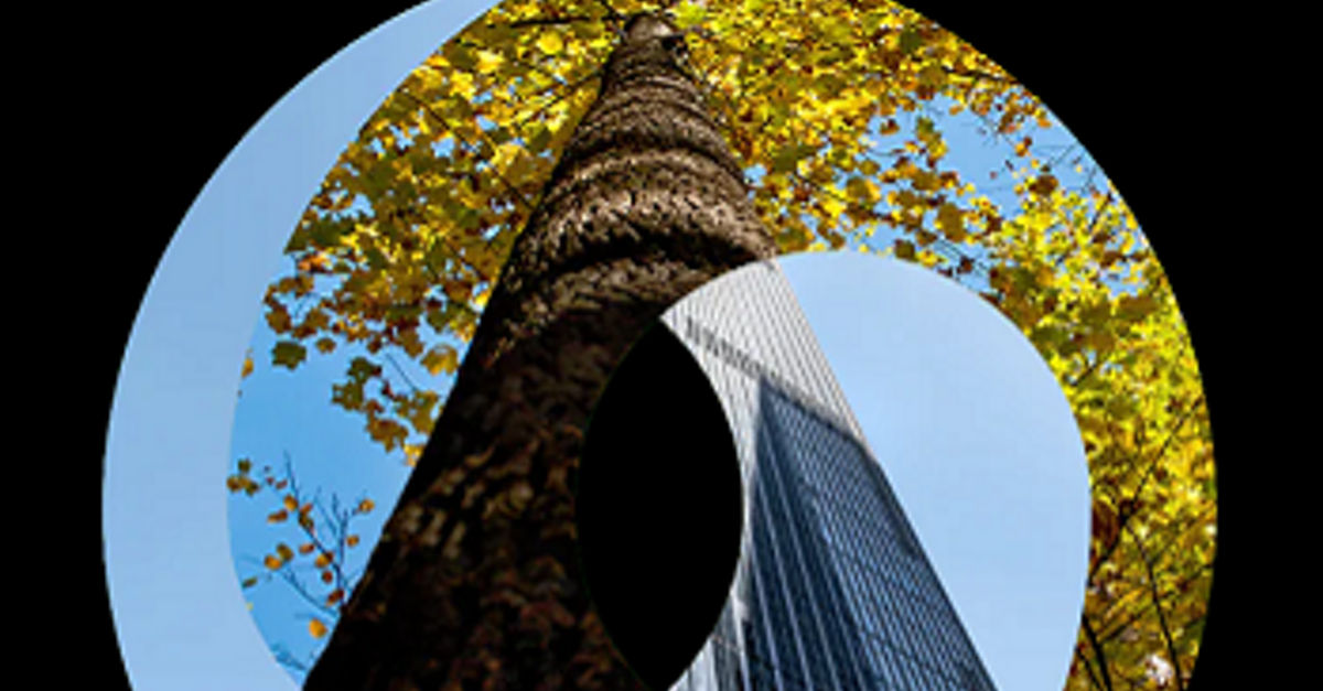 Nasce Deloitte Climate & Sustainability: più di 450 ingressi entro il ...