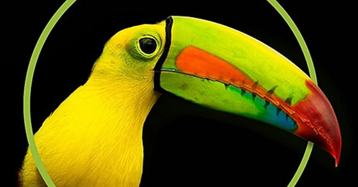 WorldClimate: Climate Action Center | Deloitte UK