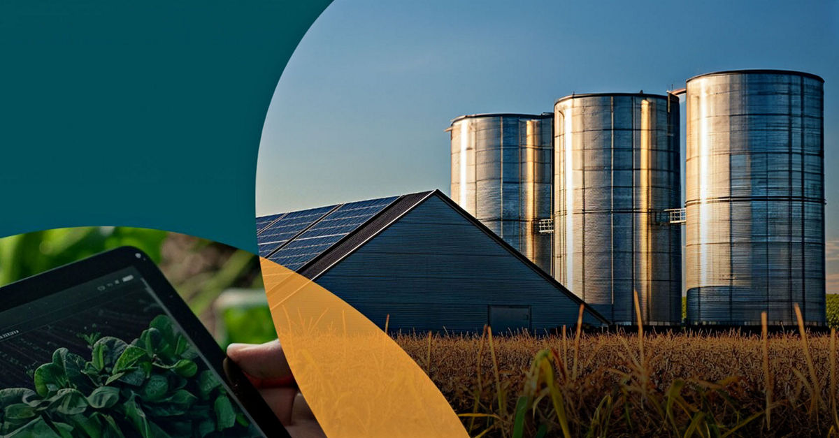 Cloud Technology Can Transform the Food Value Chain to Address Food ...