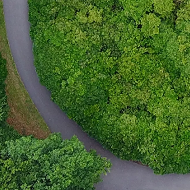 Open vs. closed-source generative AI | Deloitte UK