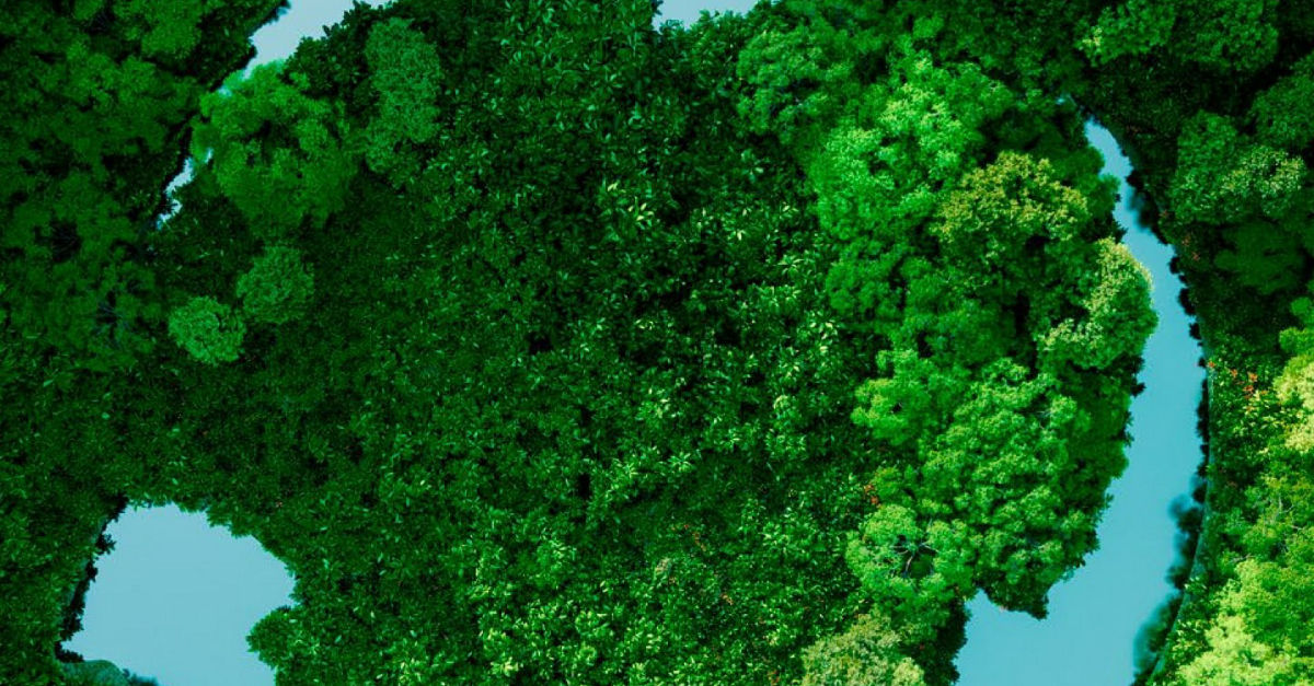 Deloitte Whitepaper: The "Sustainability" Difference between China and ...