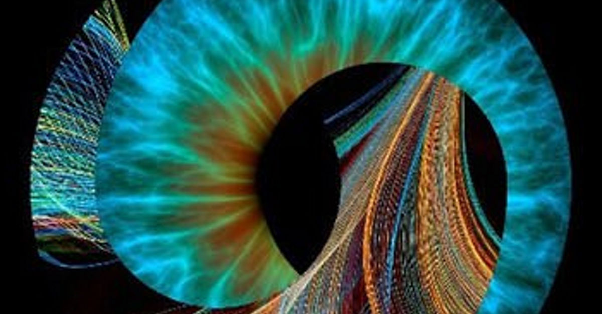 Sustainability Insight | Deloitte es