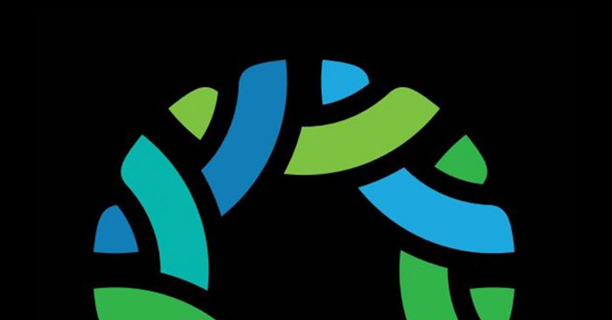 The three must-haves of modern CDO leadership | Deloitte Netherlands
