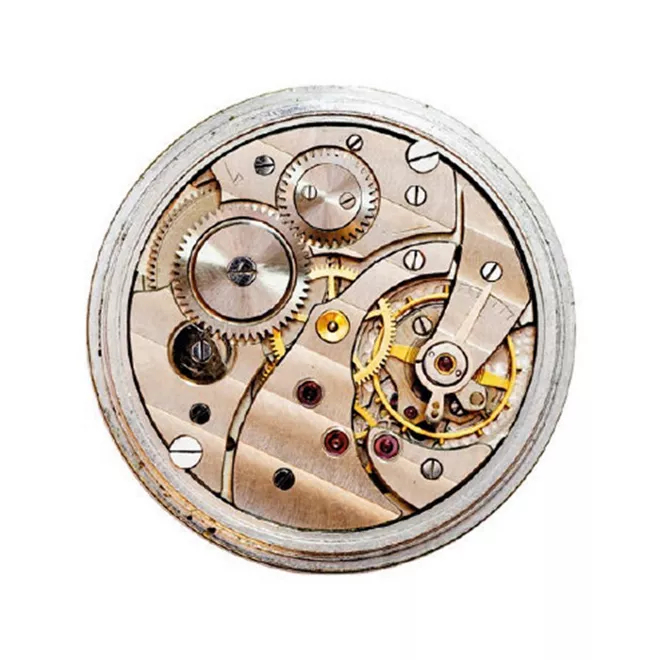 Financial reporting requirements for Dutch listed entities | Deloitte ...