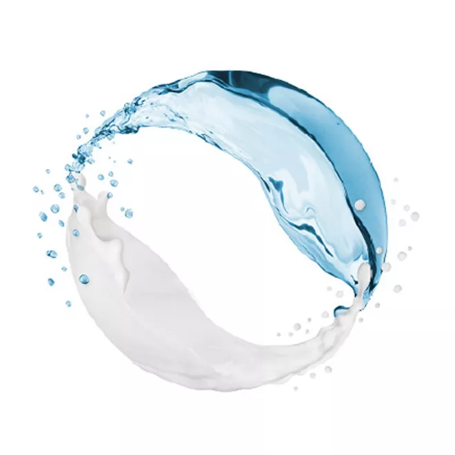 Financial reporting requirements for Dutch listed entities | Deloitte ...