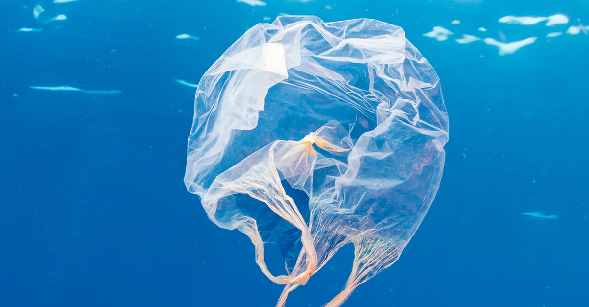 Helping The Ocean Cleanup scale-up operations | Deloitte Netherlands