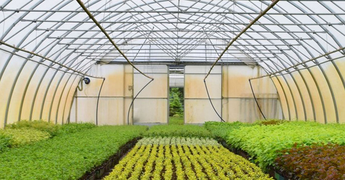 Digitized Plant Protection Product (PPP) labels for sustainable ...