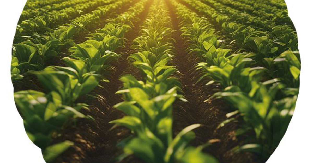 How sustainability data through Life Cycle Assessments is powering ...