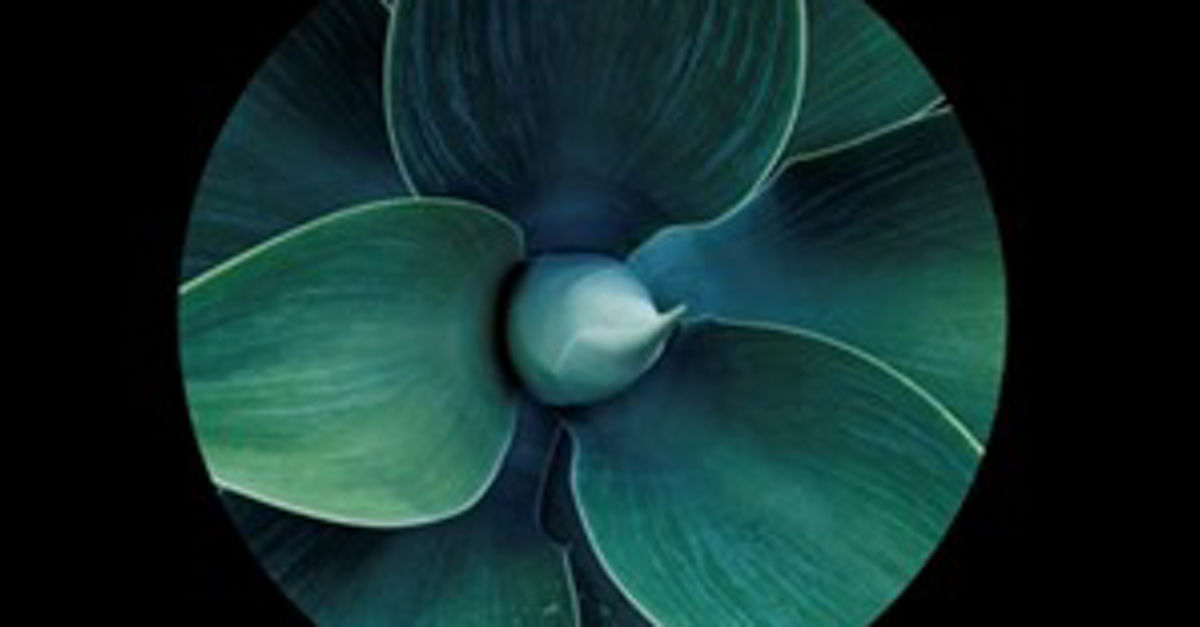 ESG-integriteit | Deloitte