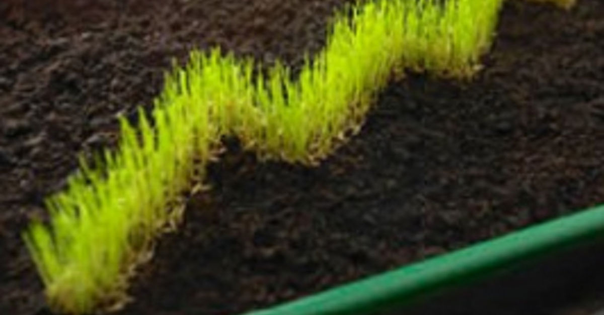 Transparency Report Deloitte | Deloitte Netherlands