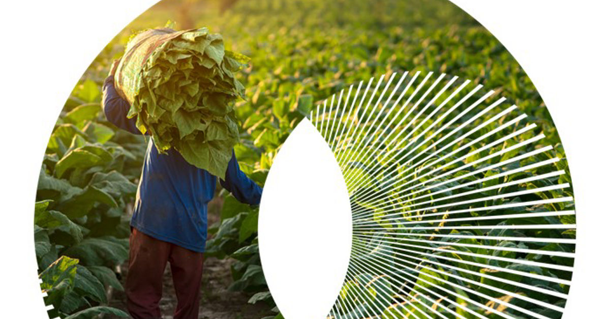 Navigating climate risks with confidence | Deloitte Netherlands