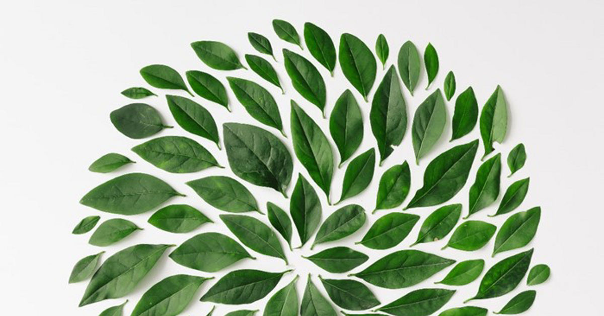 A Quick Scan of your CSRD readiness | Deloitte Netherlands